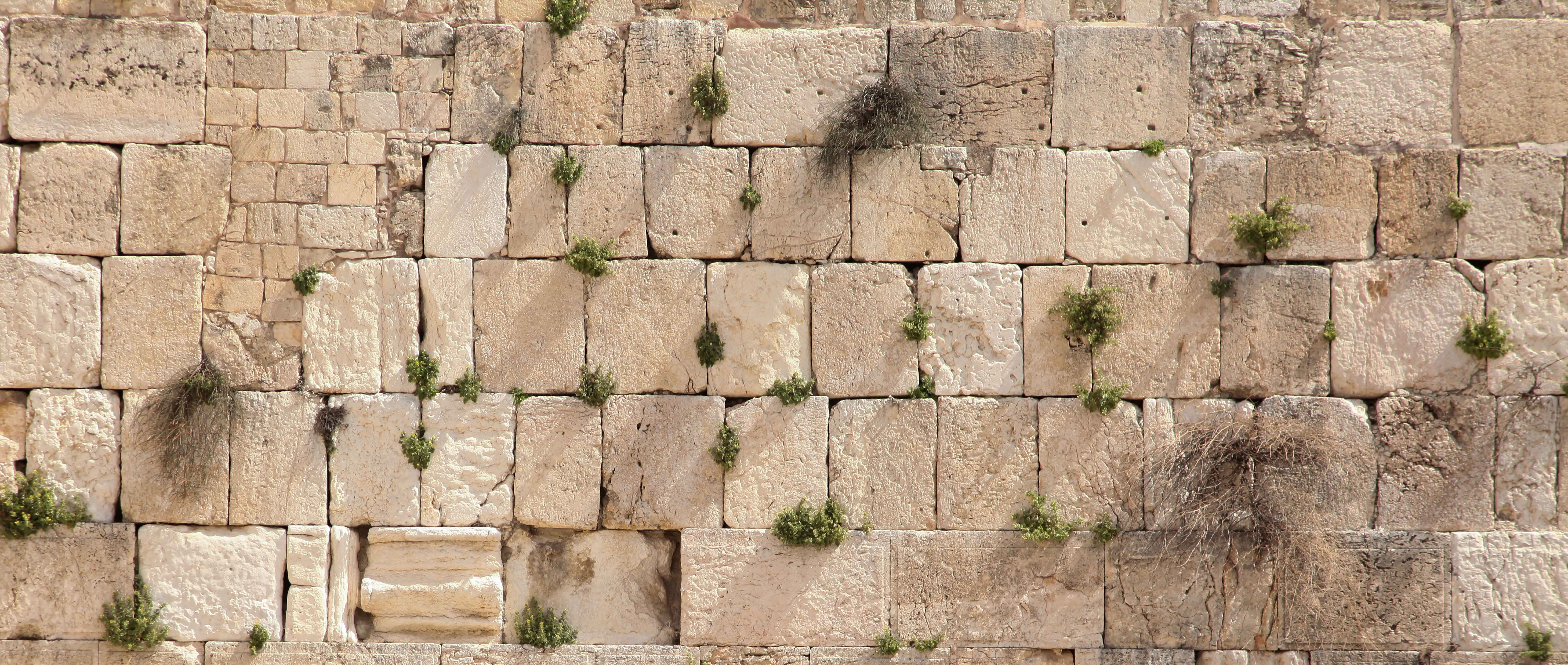 Kosel – 101 | Sukkah Murals